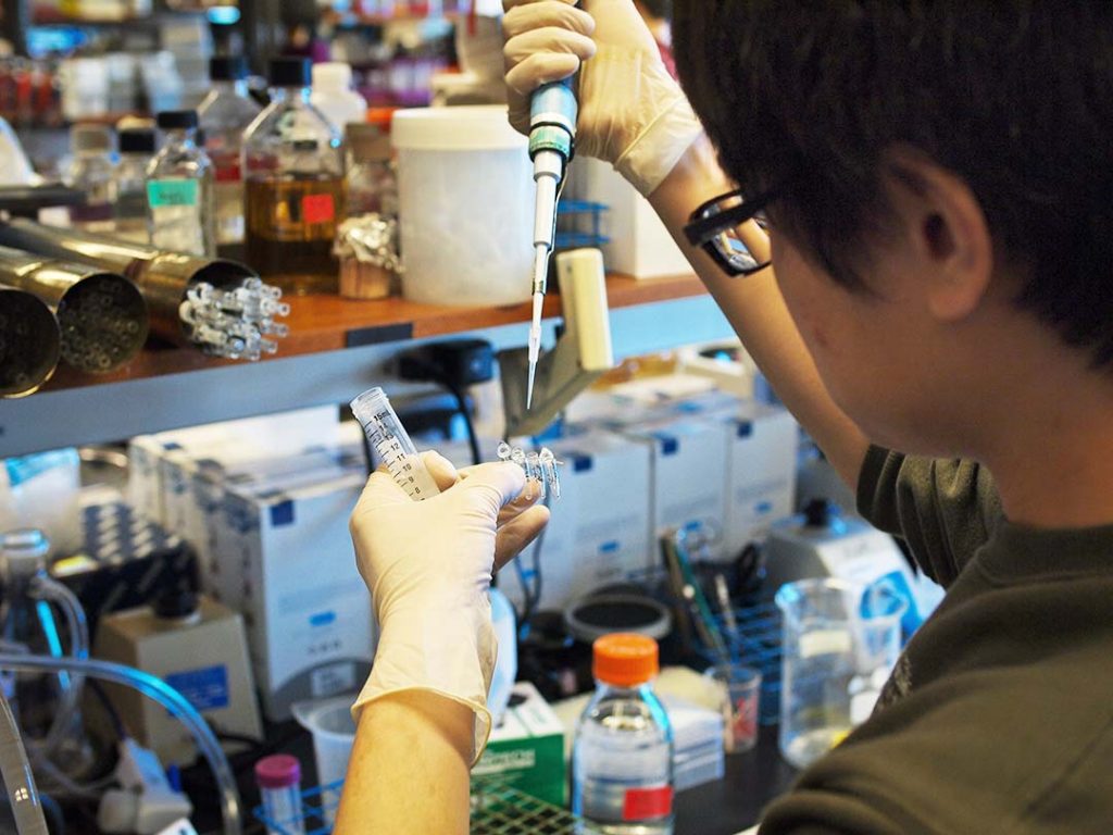 Intro-image - Harvard University - Department of Molecular & Cellular ...