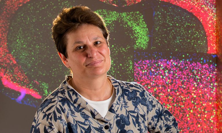 Catherine Dulac Receives 2017 Scolnick Prize in Neuroscience - Harvard ...
