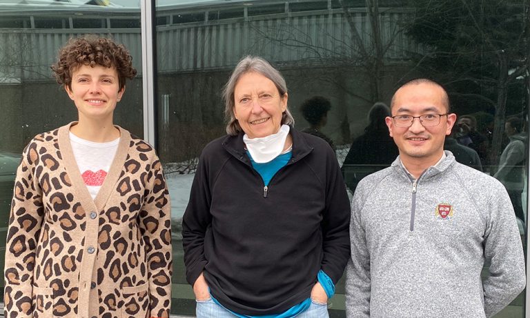 Kleckner Lab Investigates the Mechanism of Sister Chromatid Separation ...