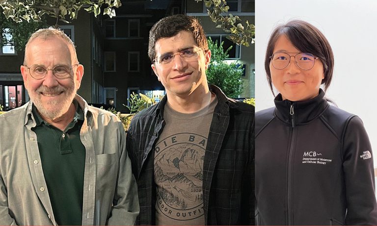 The Eyes Have It [Sanes Lab] - Harvard University - Department of ...